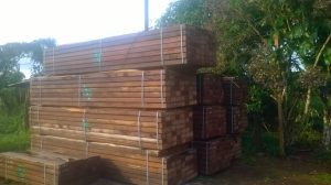 Gestion de l’information forestière au Cameroun: Les clarifications du ...