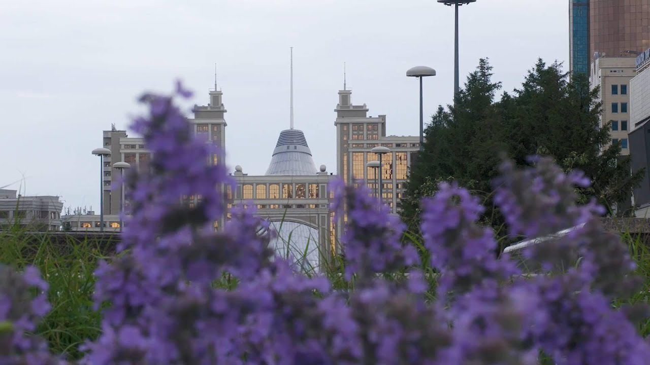 GLOBALink | Kazakh experts eye closer cooperation under SCO - Afrique54.net