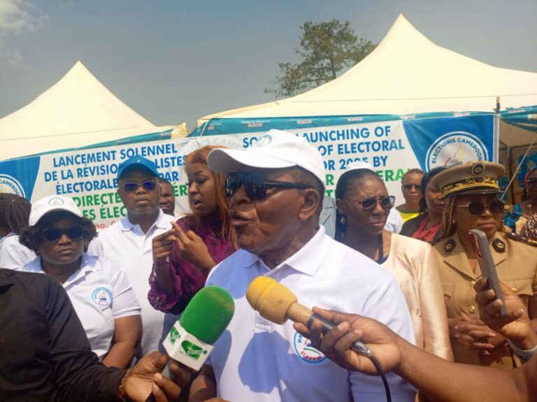 processus-electoral-au-cameroun-elecam-lance-la-revision-des-listes ...